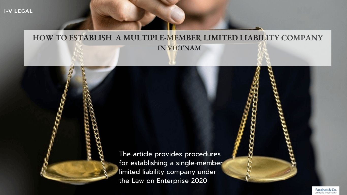 Procedures for establishing a Multimember Limited Liability Company ...